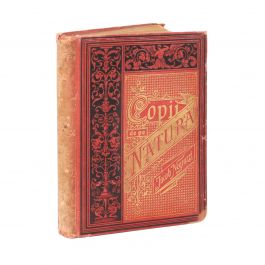 Iacob Negruzzi, Copii de pe Natură, 1874